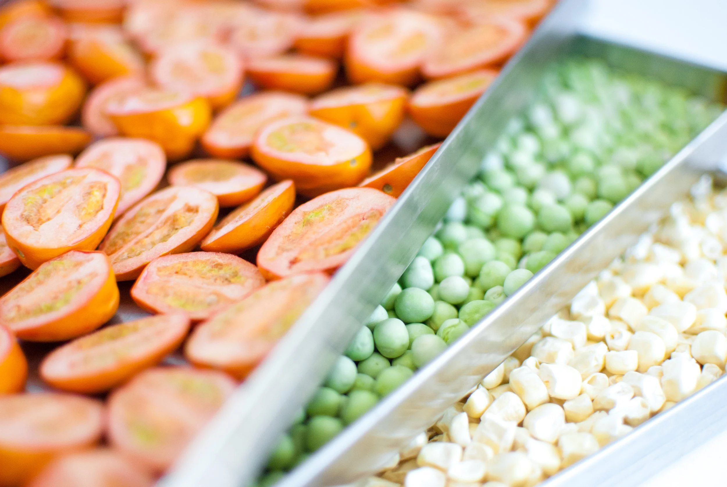 Dustin’s Freeze Dryer Shop