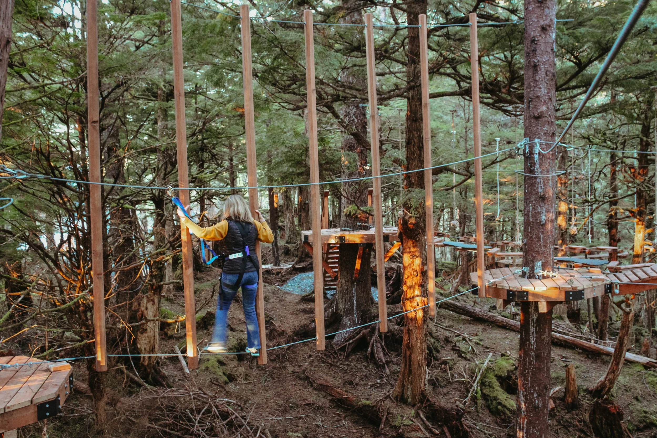 Careers — Sheet’ká Treetop Adventures