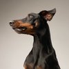 OFF LEASH STUDIO