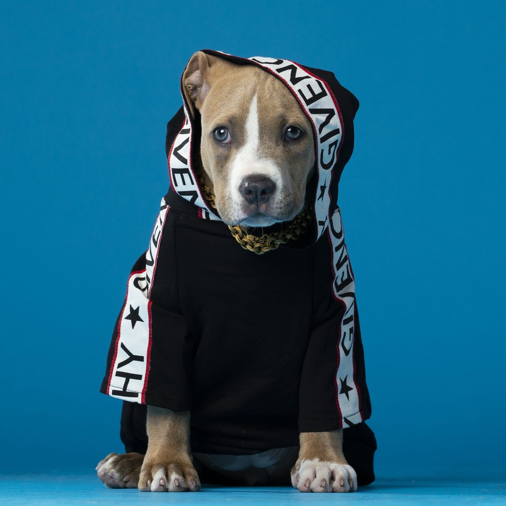 OFF LEASH STUDIO