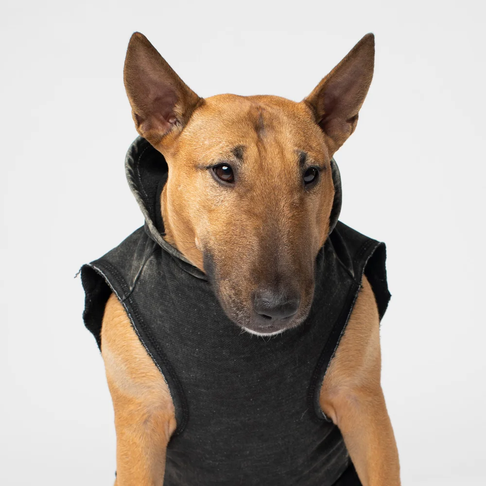 OFF LEASH STUDIO