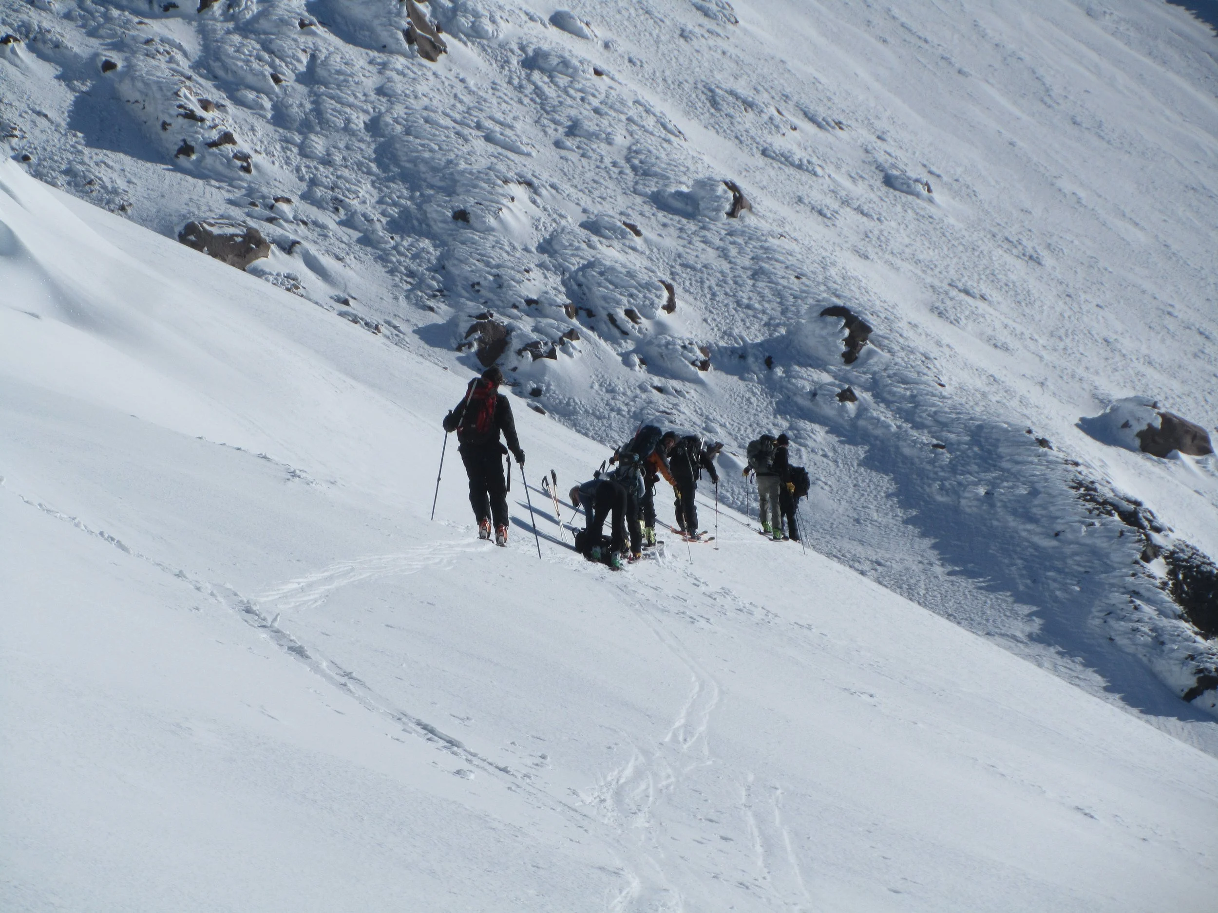 Crag Rats