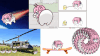 Doro’s Journey from Meme to Official Mascot — Blog Under a Log