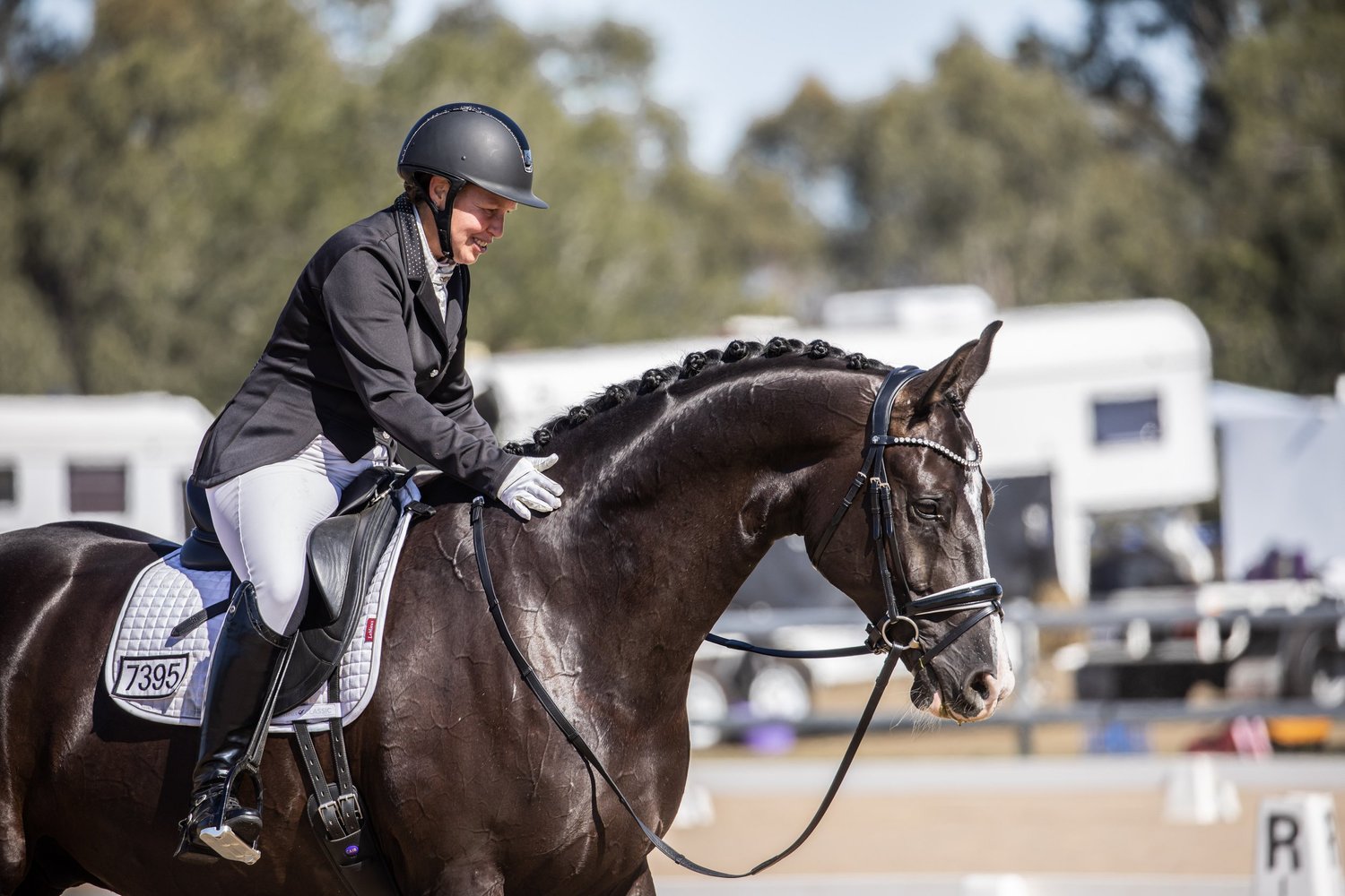 Calendar — Fig Tree Pocket Equestrian Club