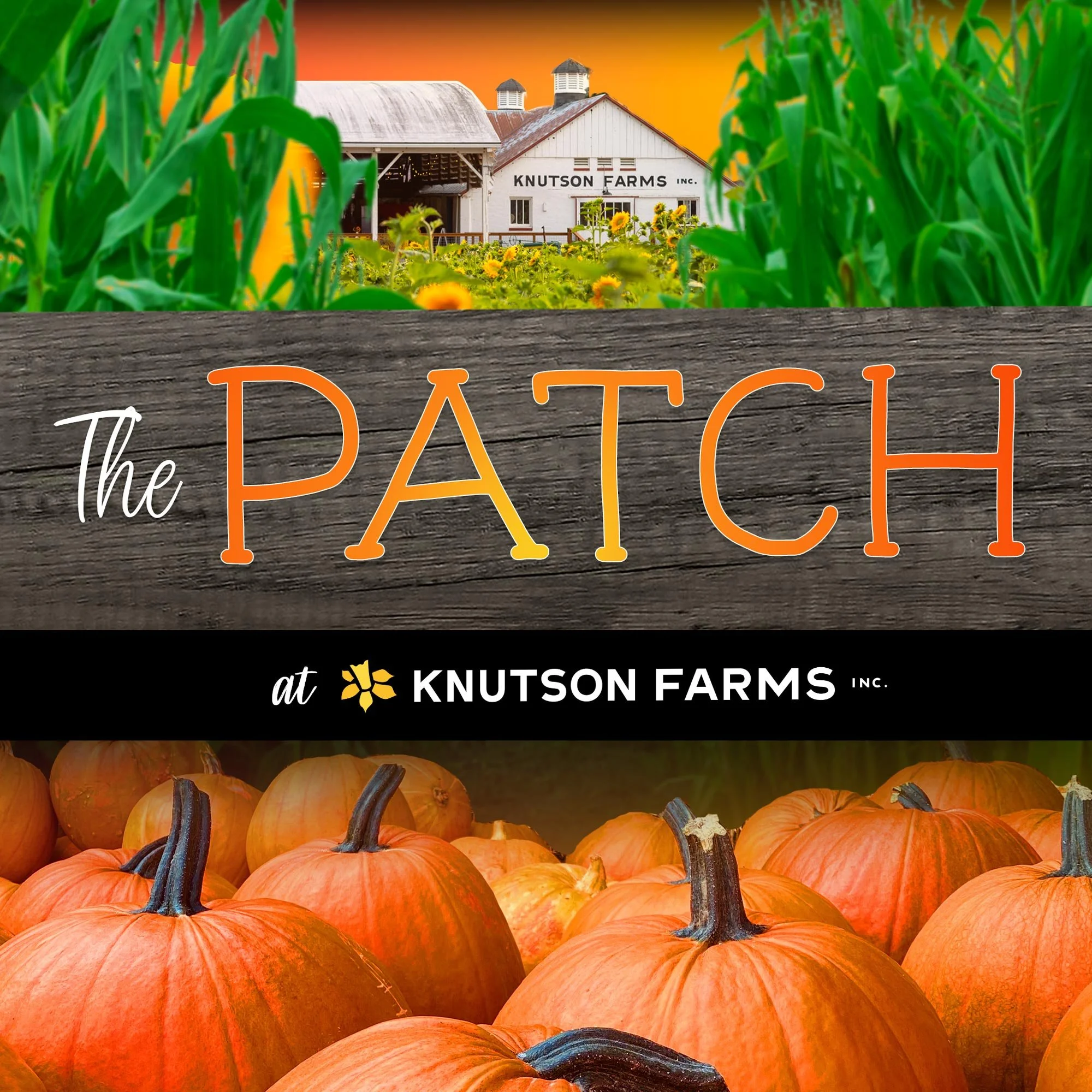 THE PATCH FALL FESTIVAL — KNUTSON FARMS INC