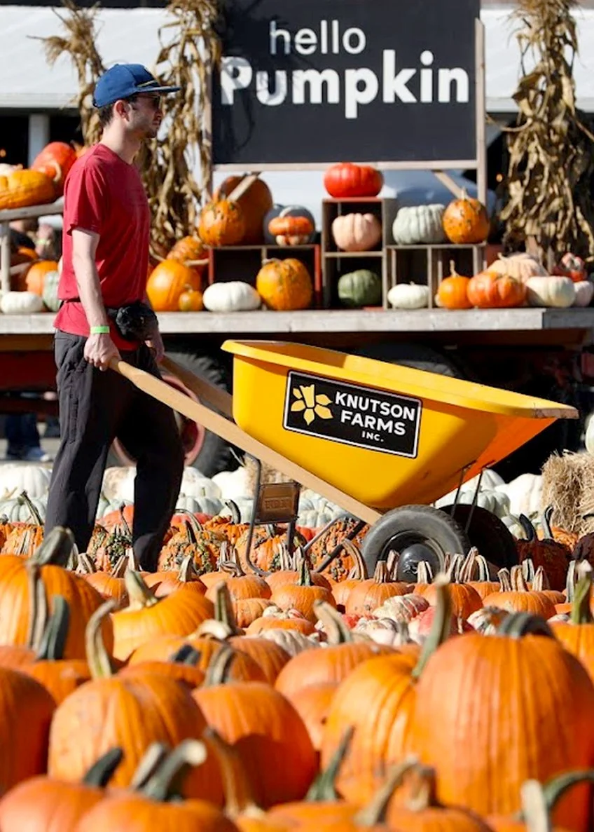 THE PATCH FALL FESTIVAL — KNUTSON FARMS INC