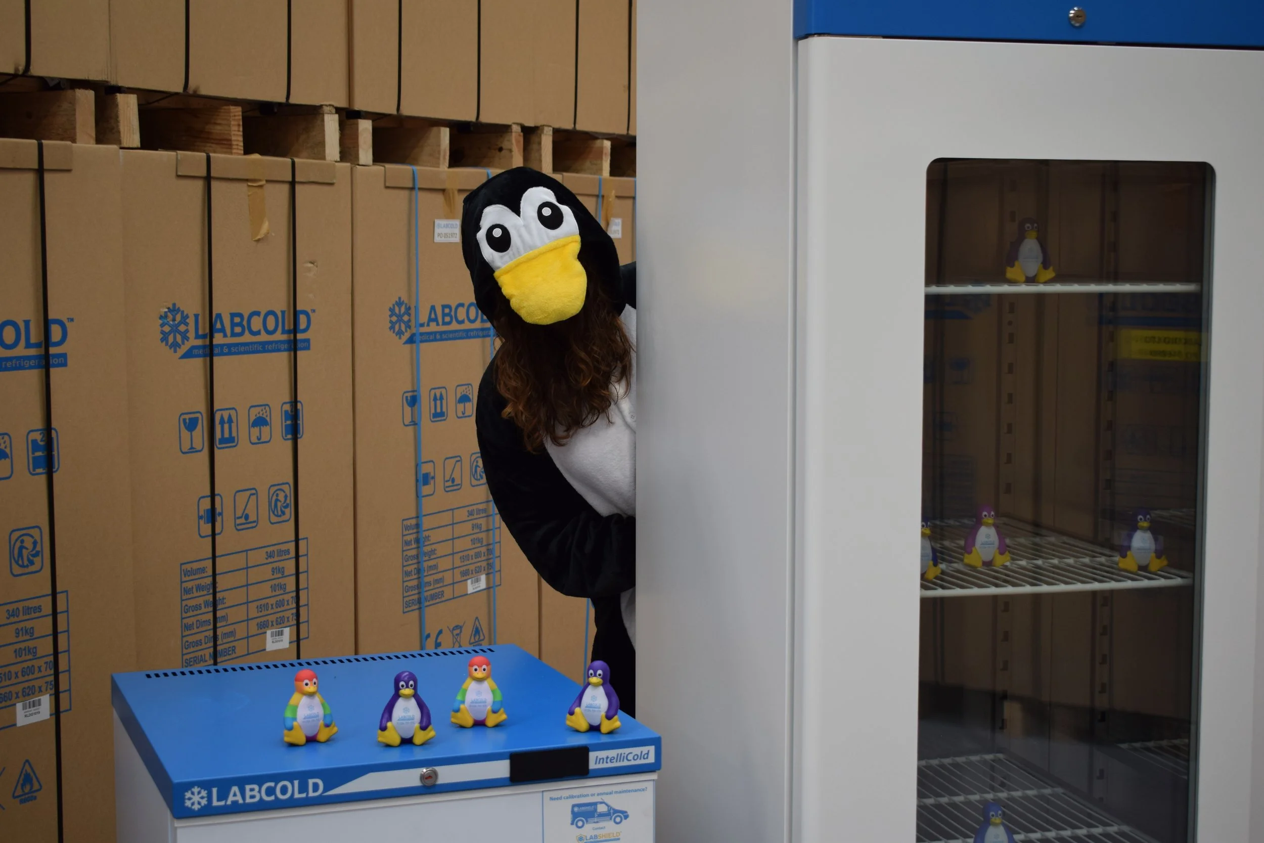 Waddle your way around a chilly 5k — Hampshire Hospitals Charity