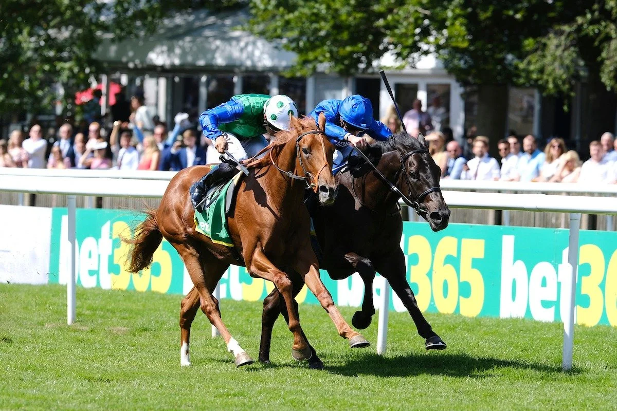 Group 2 for Isaac Shelby — Manton Thoroughbreds