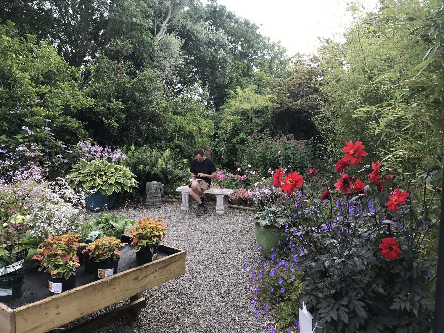 Gallery — Ratoath Garden Centre