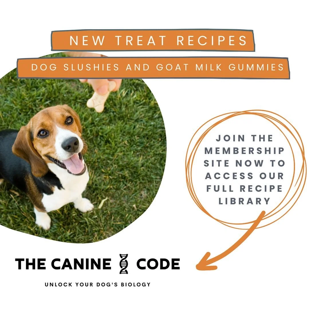 THE CANINE CODE