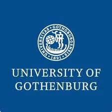 About — Dr. Femi Ayeni