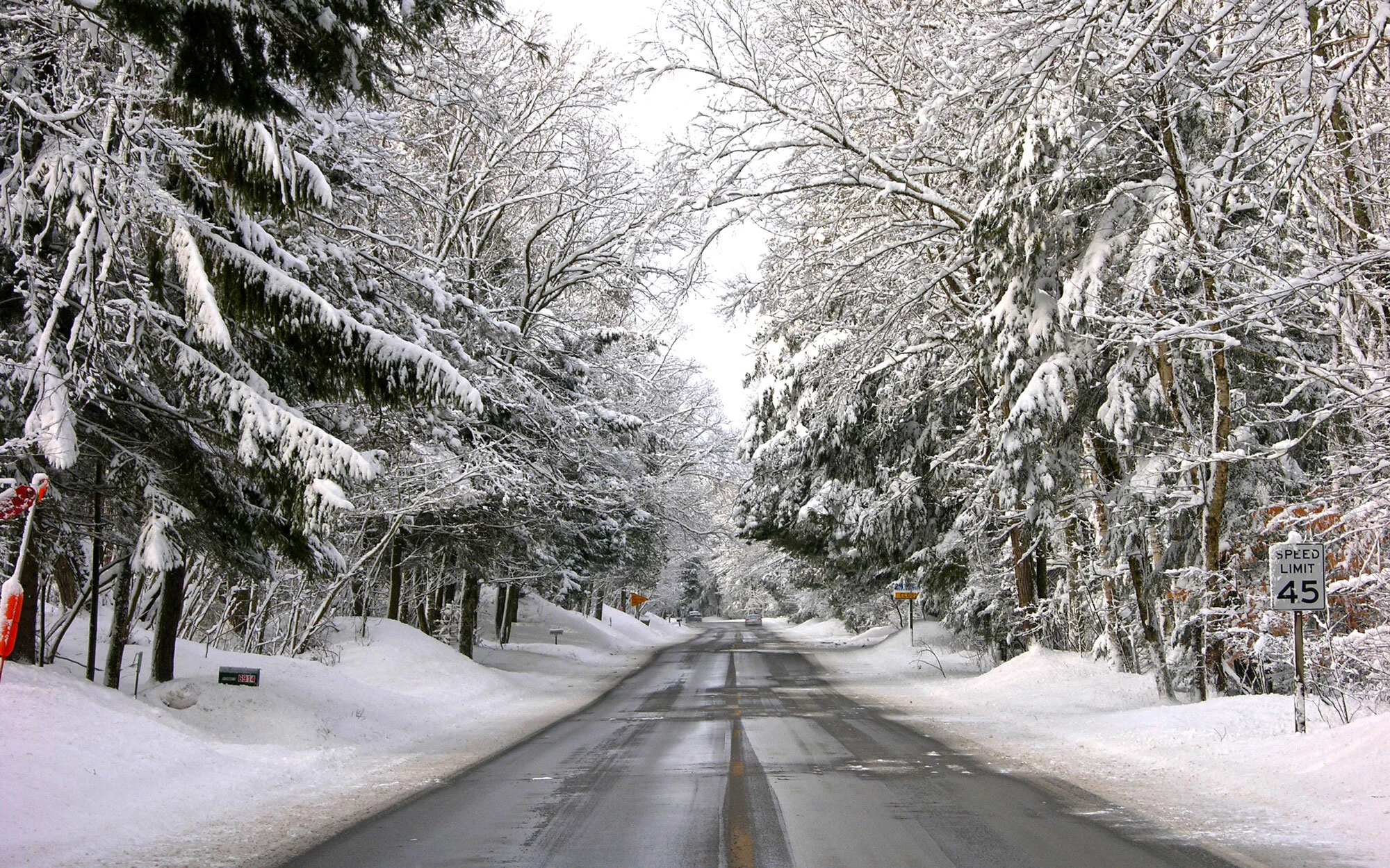 Directions — Medina Christmas Tree Farms