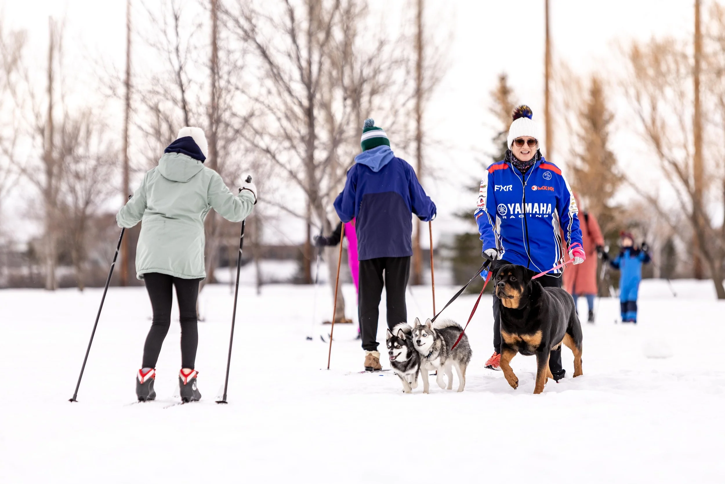 Hidden Haven Winter Retreat — Swift Current Tourism