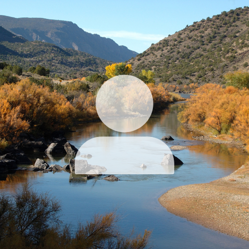 Medical Direction and Coordinators — NMSAR Medical