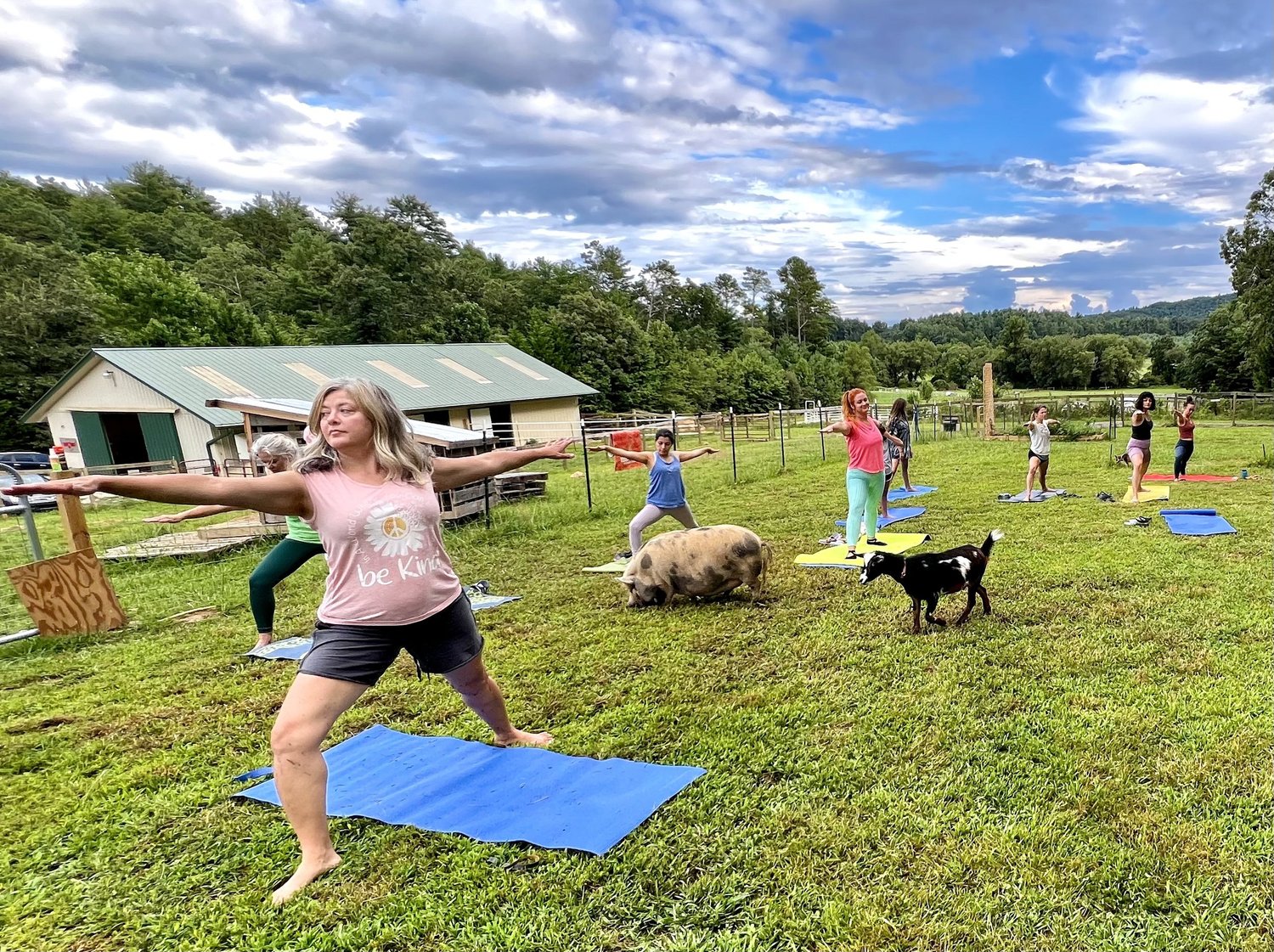 Hendo Care Farm