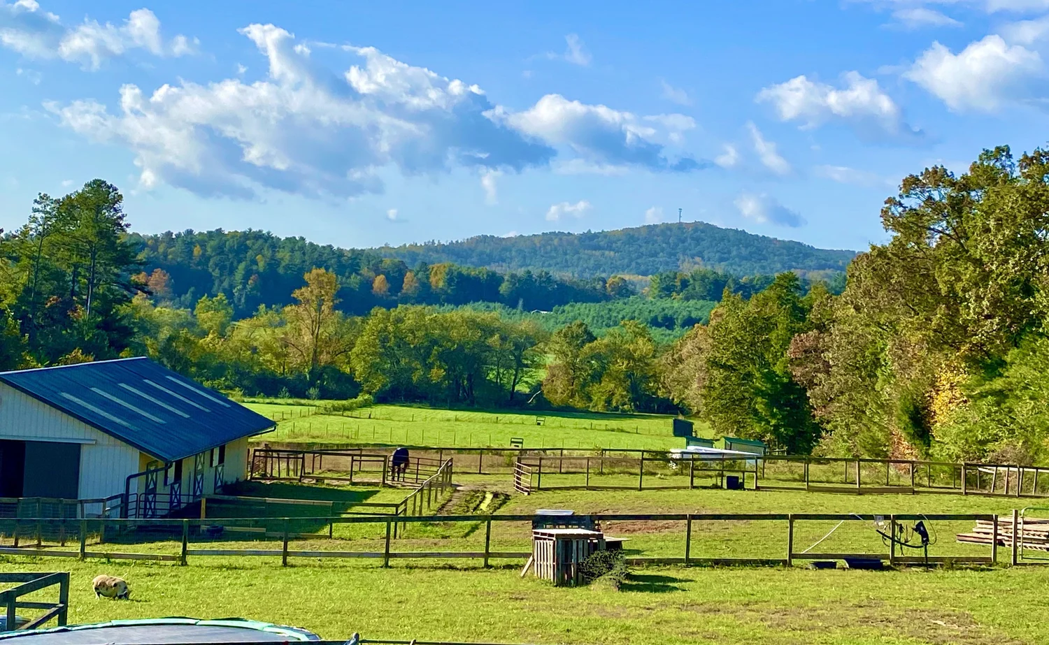 Hendo Care Farm