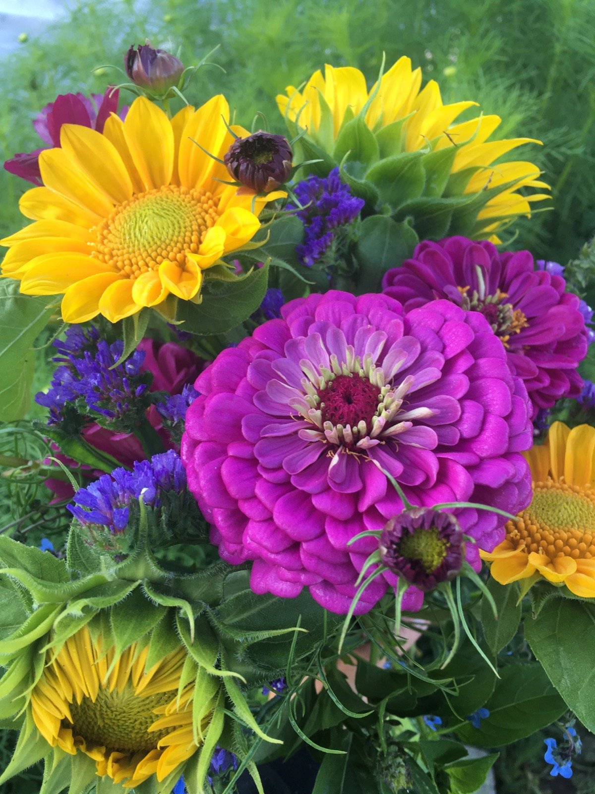 What is a Flower Subscription? 🌸 - Twining Seasons Farm | Local ...