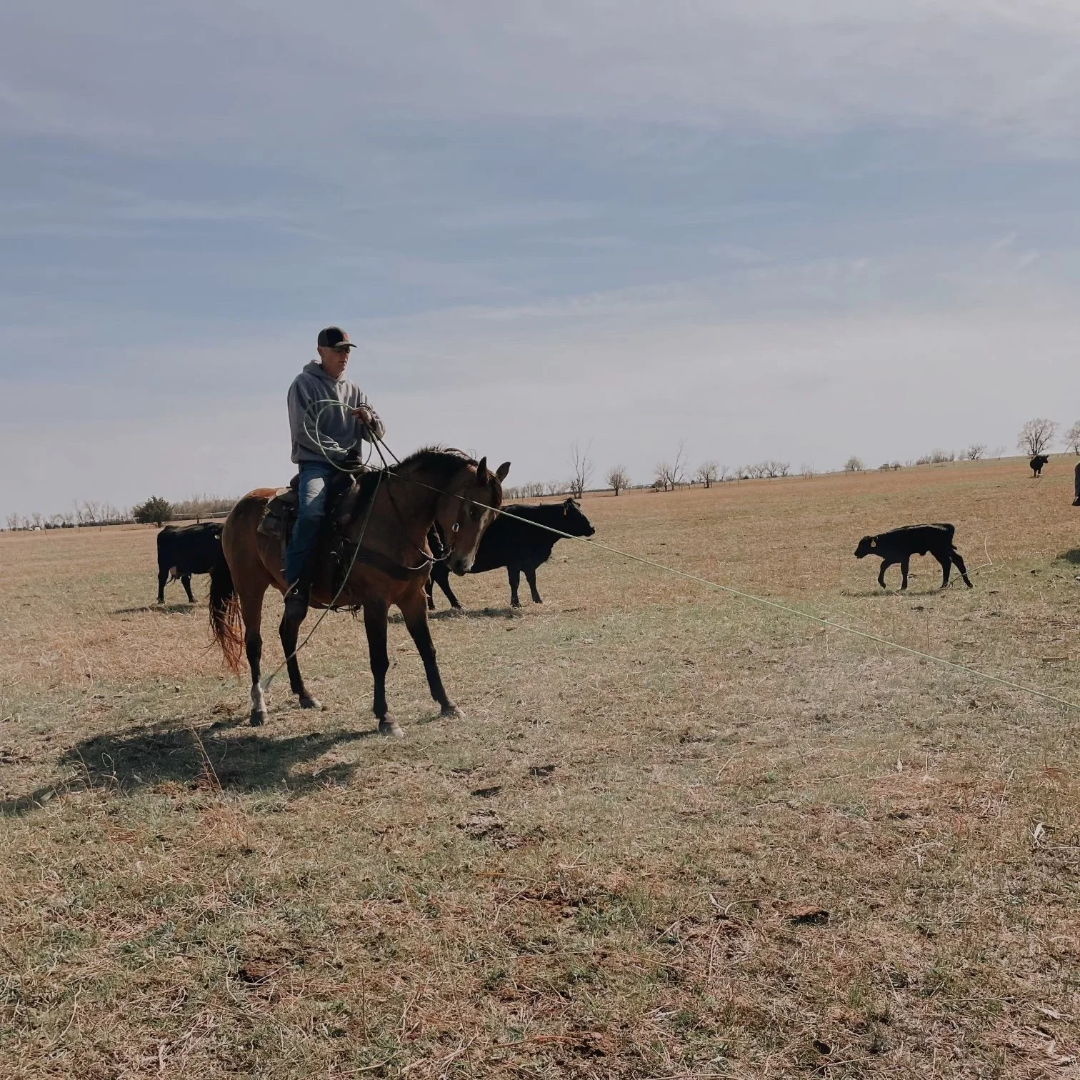Connect Beef | Premium Beef | Community Enrichment | Westerville, NE