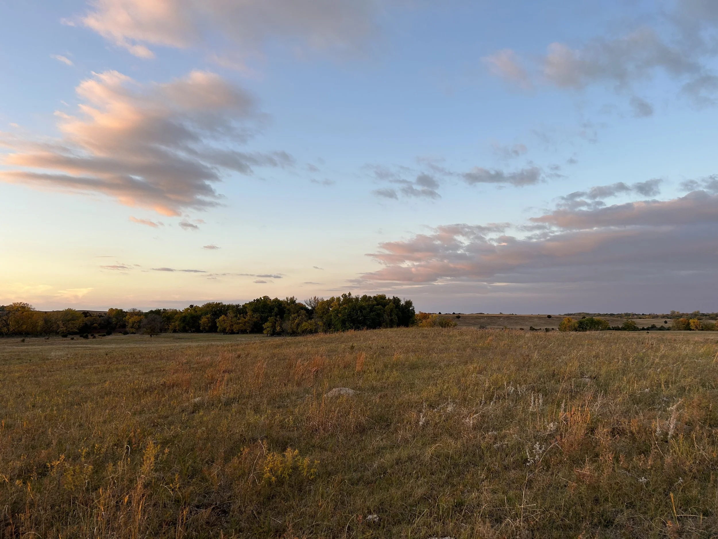 Connect Beef | Premium Beef | Community Enrichment | Westerville, NE