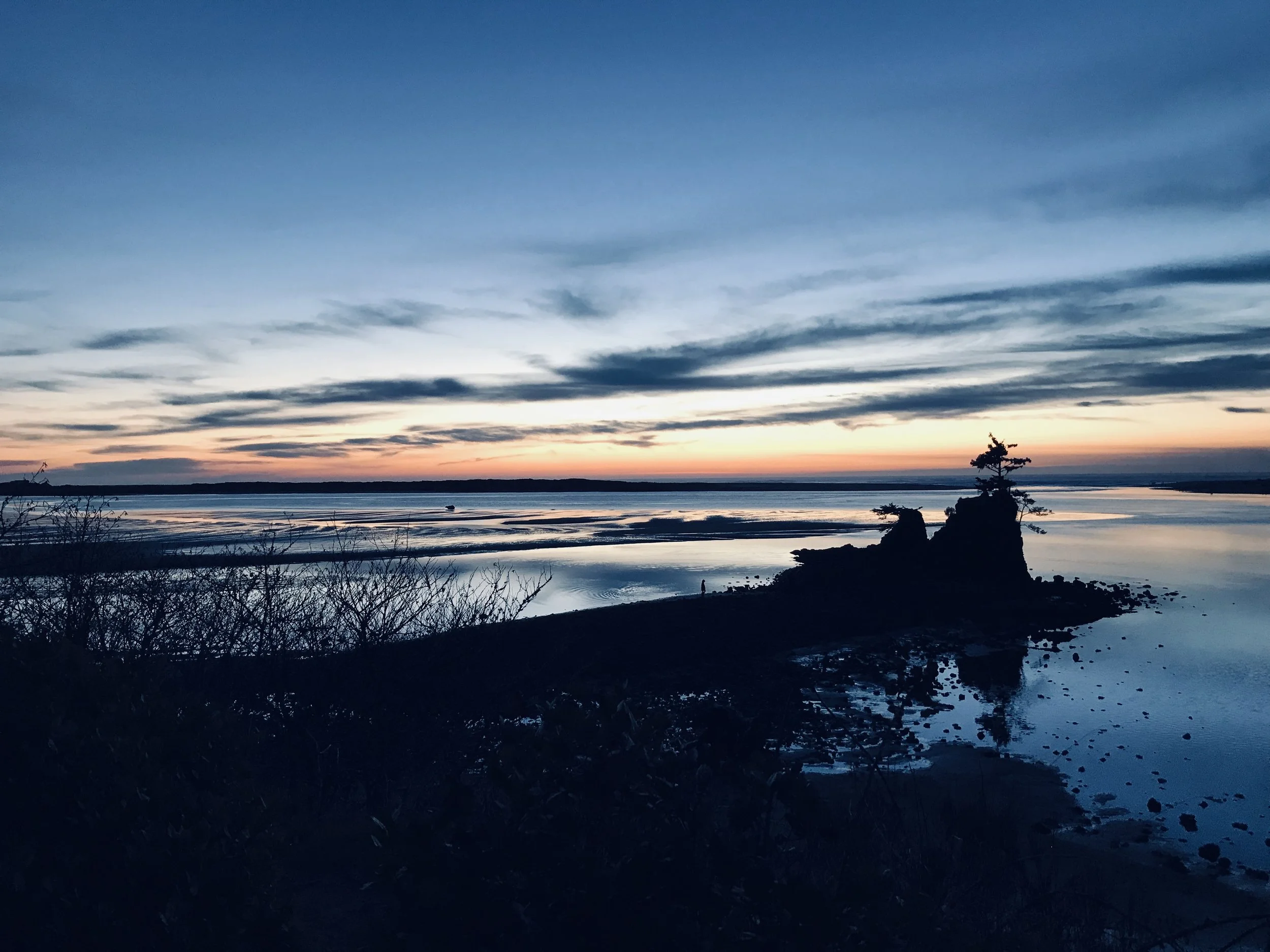 Sign Savvy ASL Tutoring