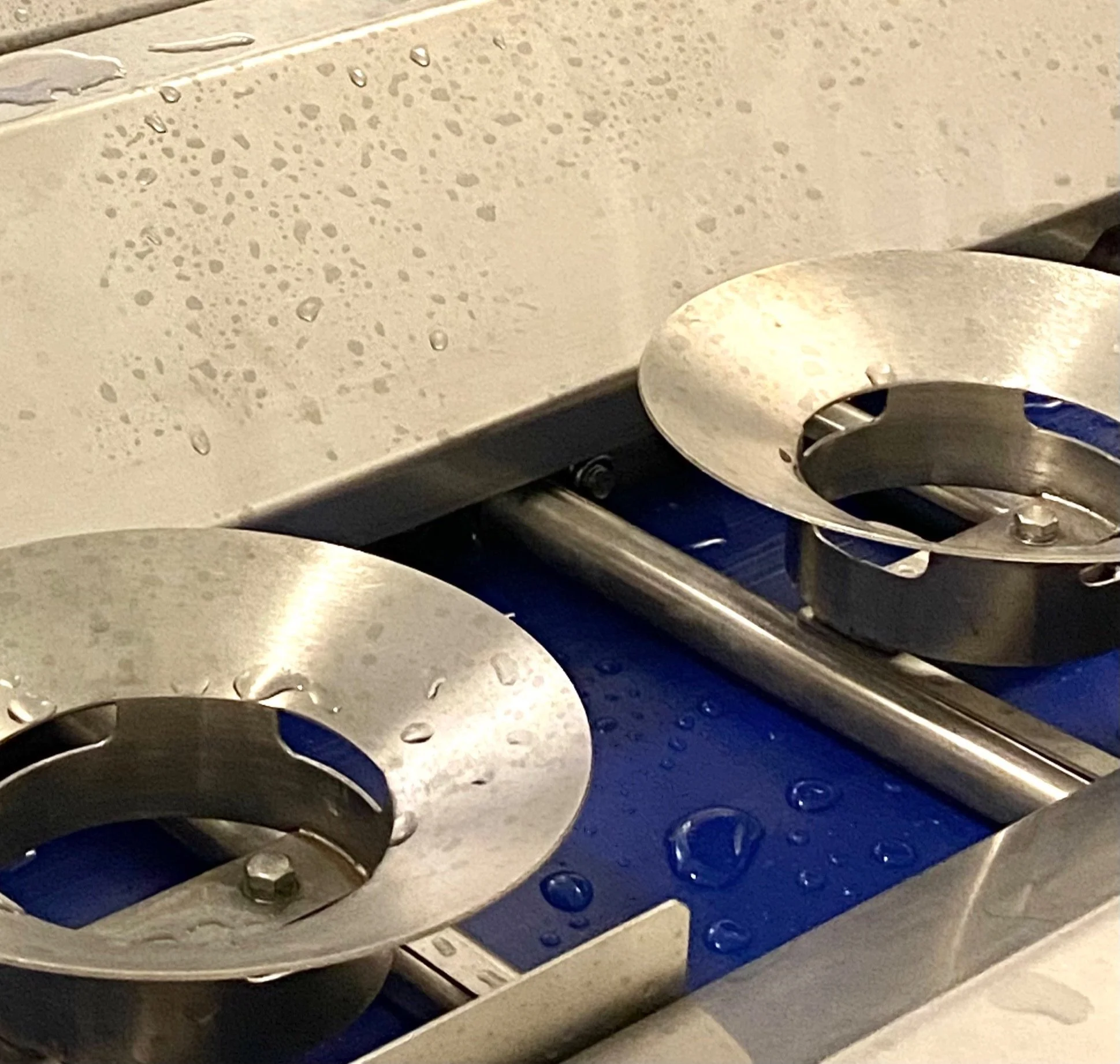 Food Safety and Quality: How Robotics Can Transform Iceberg Lettuce ...