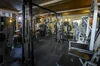 Putney Gym | Physical Culture: Keeping You Strong Since 1928