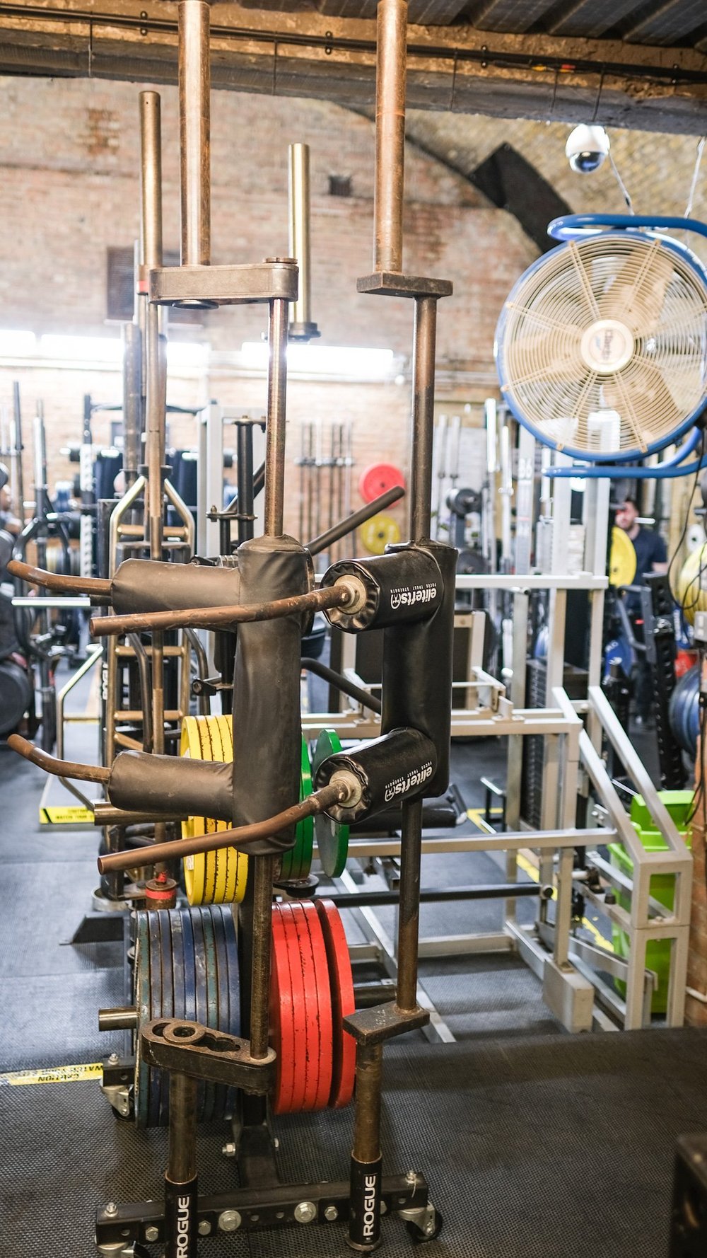 Putney Gym | Keeping You Strong Since 1928