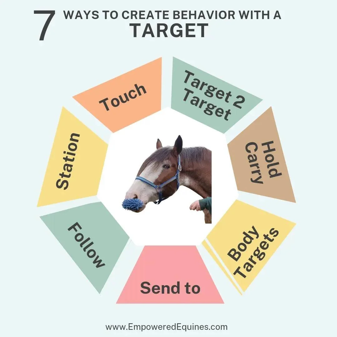 7 ways to use a Target — Empowered Equines