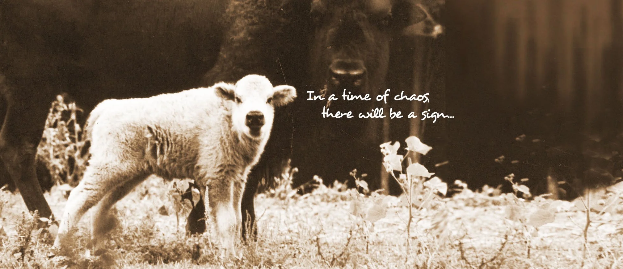 World Peace Prayer Day