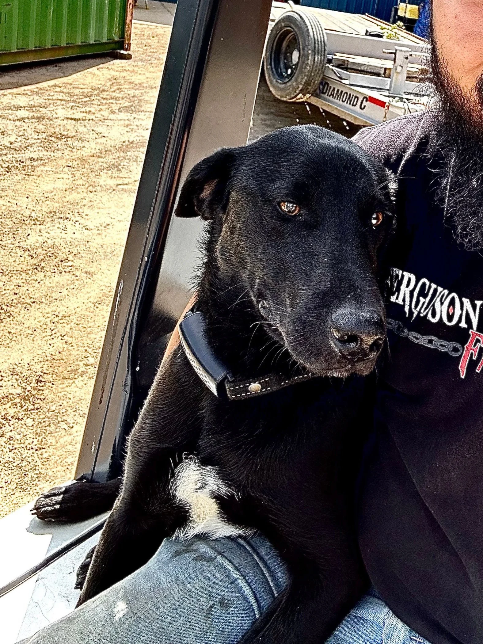 About — Bucky Box USA