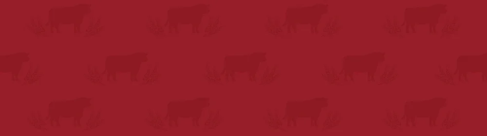 PREMIUM MEATS — Bush Brothers