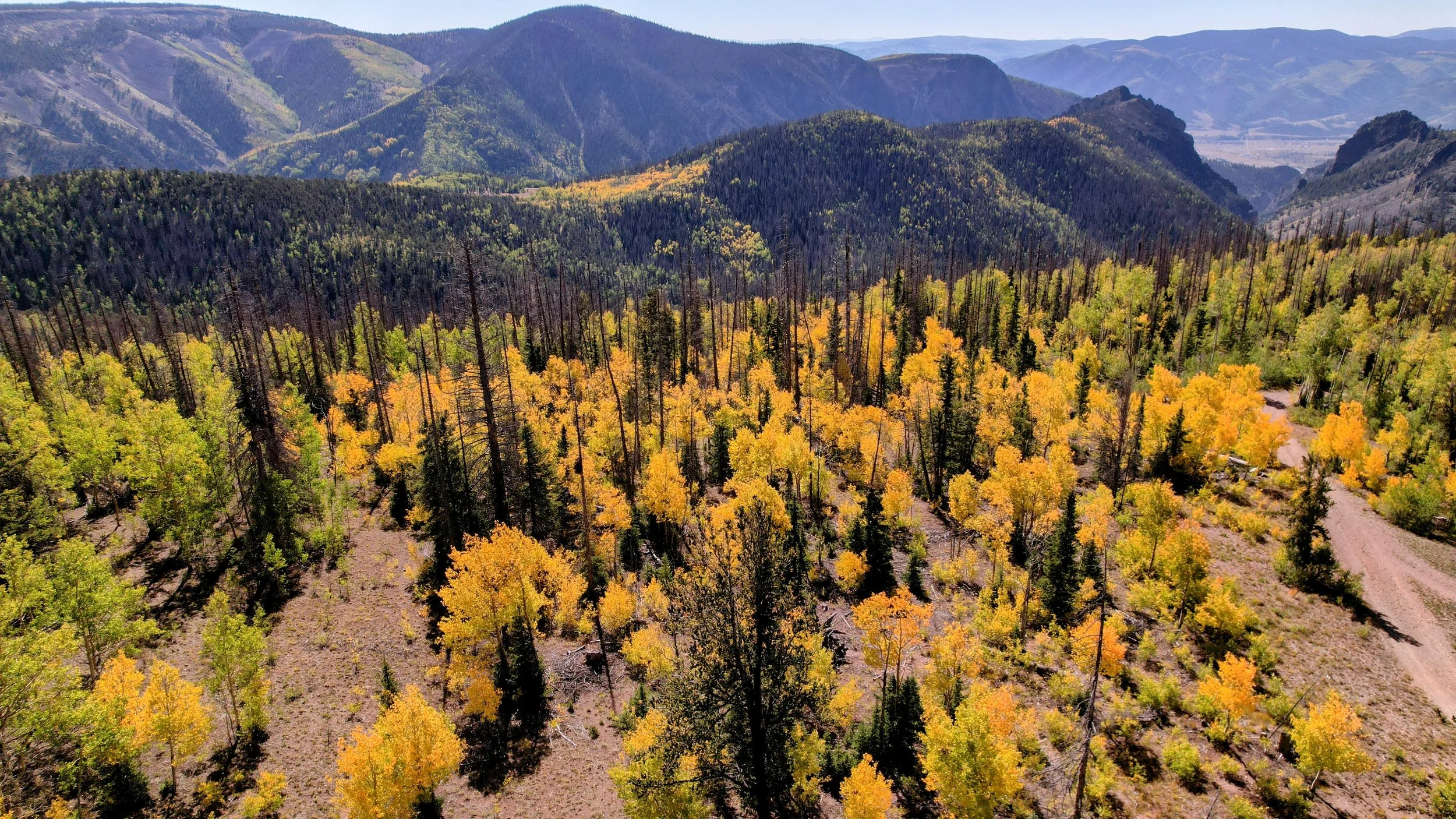 Homesites and Mining Claims in Creede and Del Norte Colorado — Broken ...