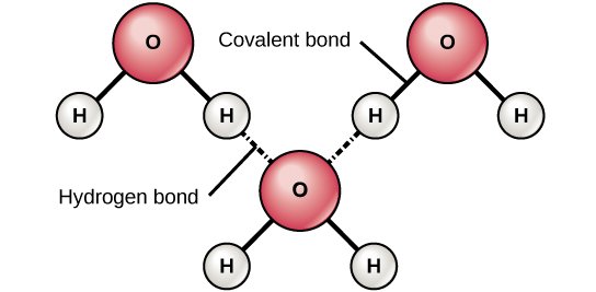 Intermolecular Forces | Explore Intermolecular Forces Today — CHEMDUNN