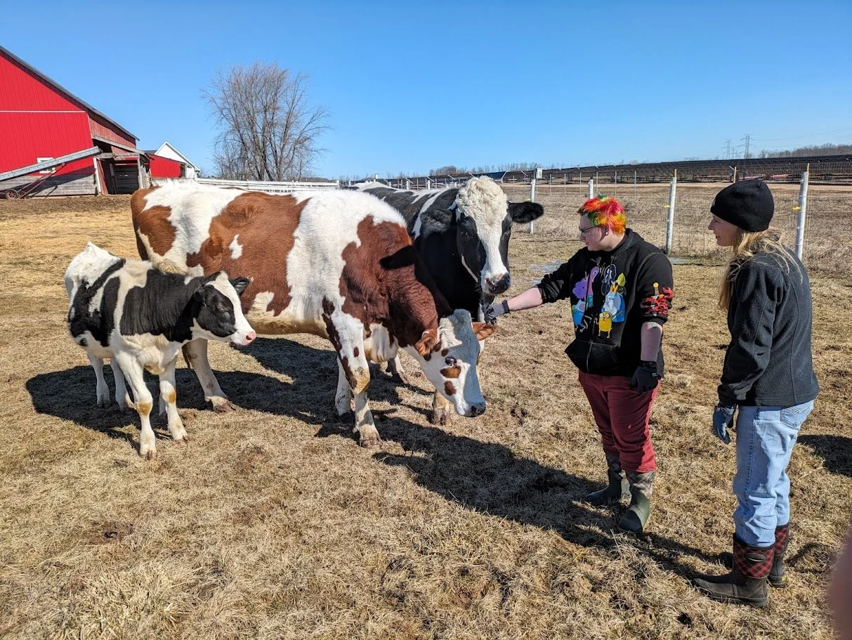 Get Involved — Bucky's Bull Rescue