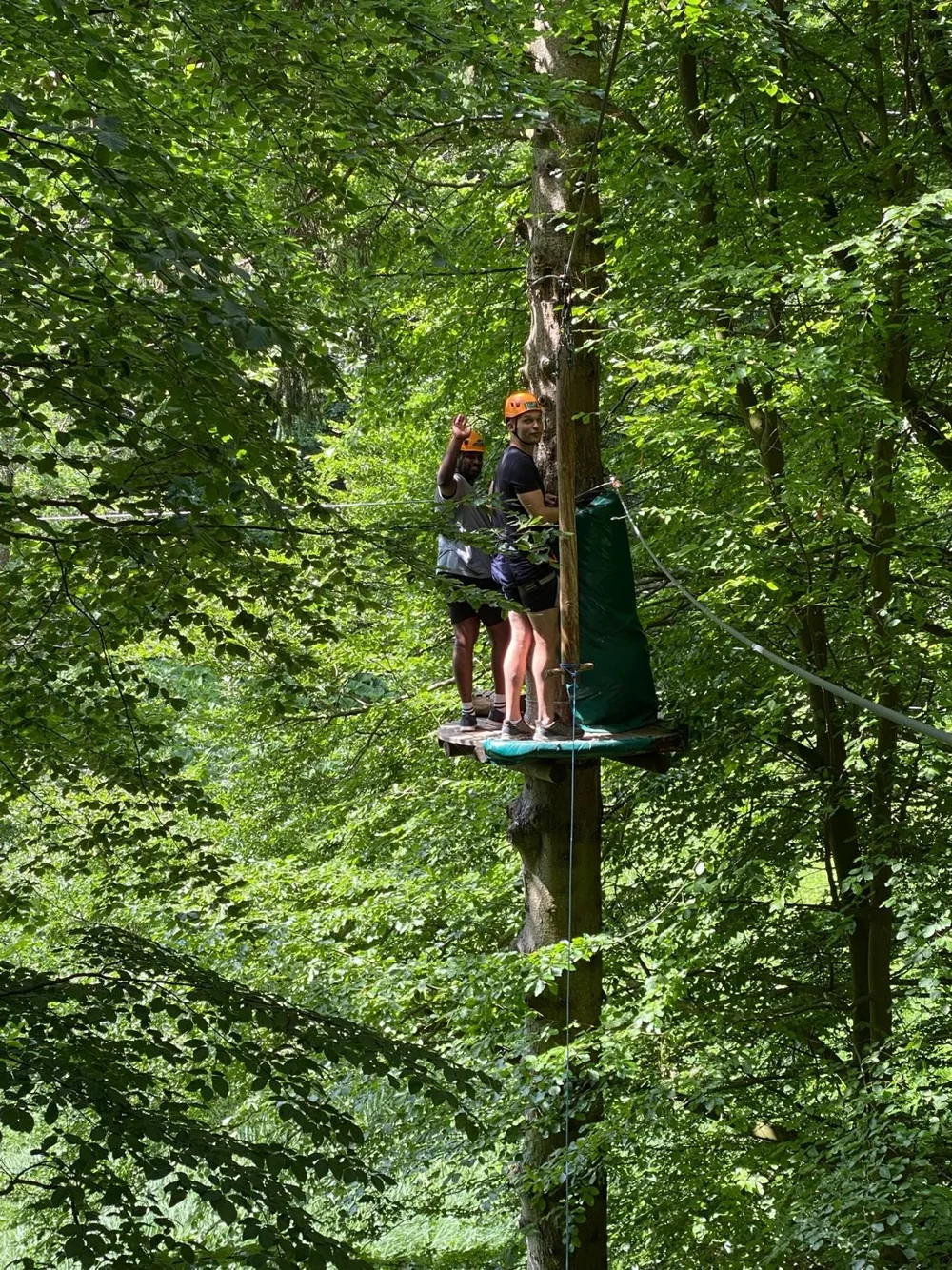 Maconomy | Optimize Your Maconomy Today — VOLI