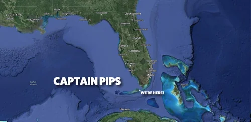 How to Get to Captain Pips — Captain Pips