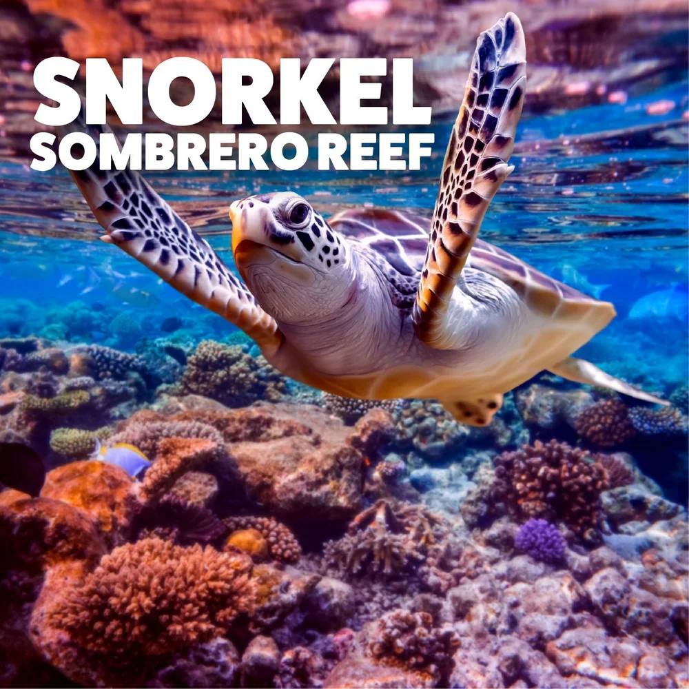 Spirit Snorkeling at Captain Pips in Marathon, FL — Captain Pips