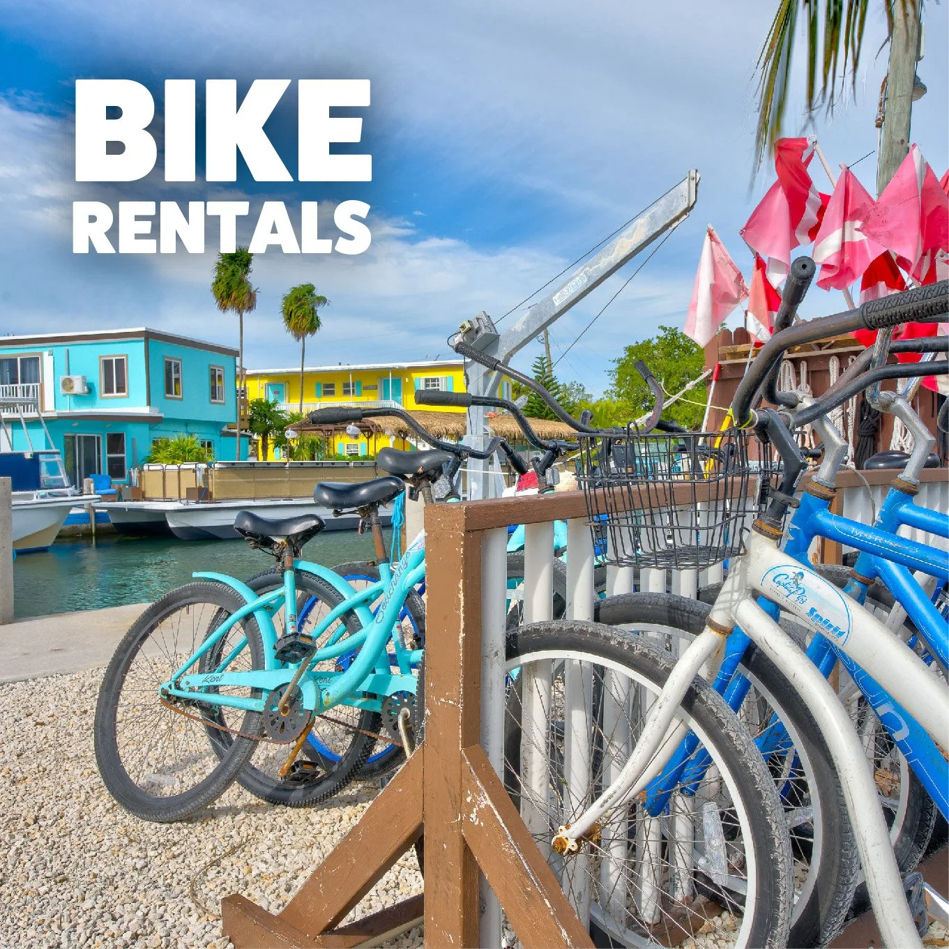 Bike Rentals in Marathon, FL — Captain Pips