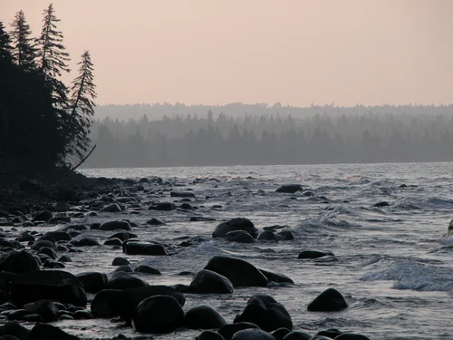 Services 4 — Wolf Moose Foundation