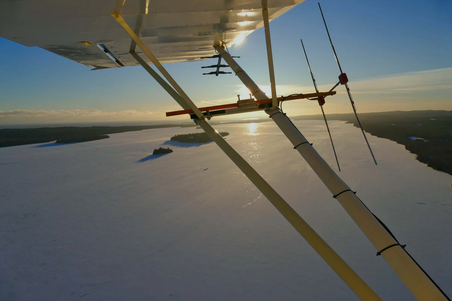 Wolf Moose Foundation