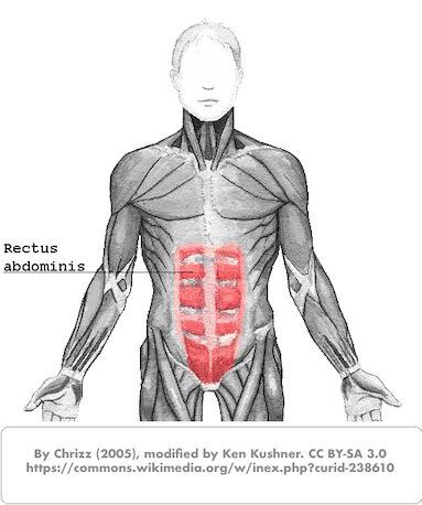 “Science and Practice of Tanden Breathing” by Takayoshi Kubota — Hara ...