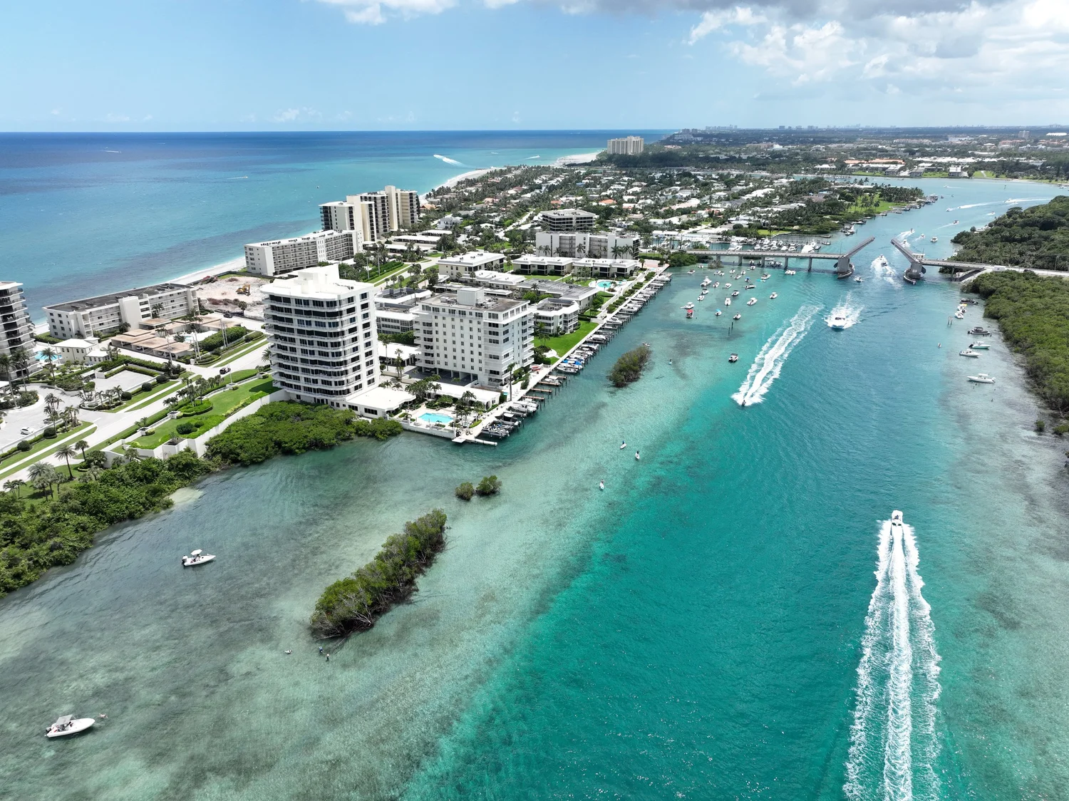 About — Jupiter Narrows Conservation Alliance