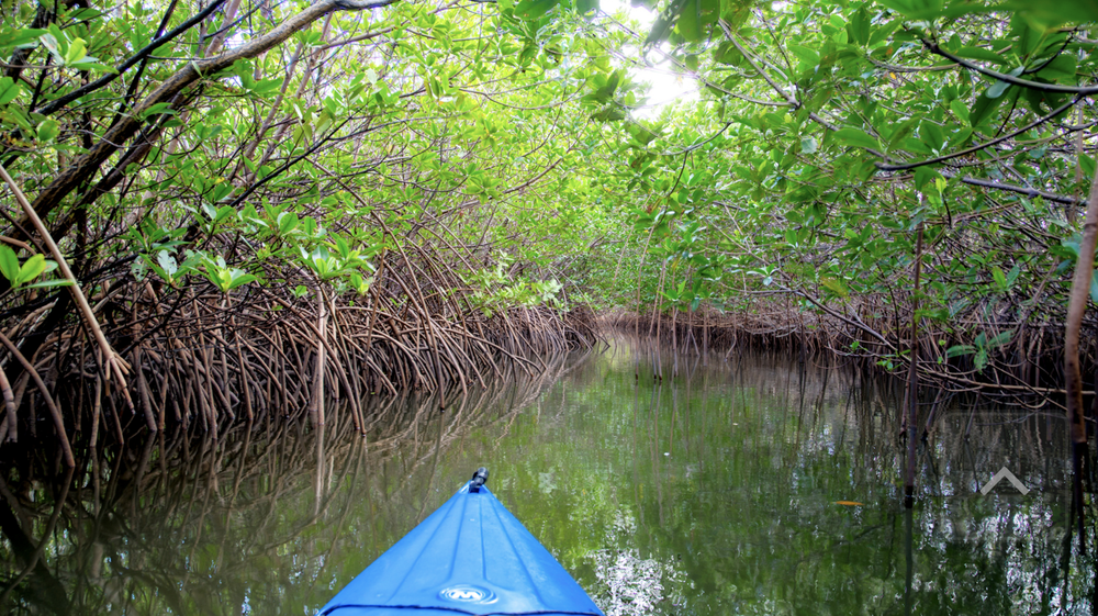 General 2 — Jupiter Narrows Conservation Alliance