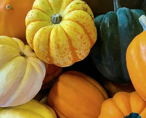 Recipes — Well Rooted Produce