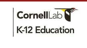 Cornell Lab Lessons & Activities — Art of Conservation
