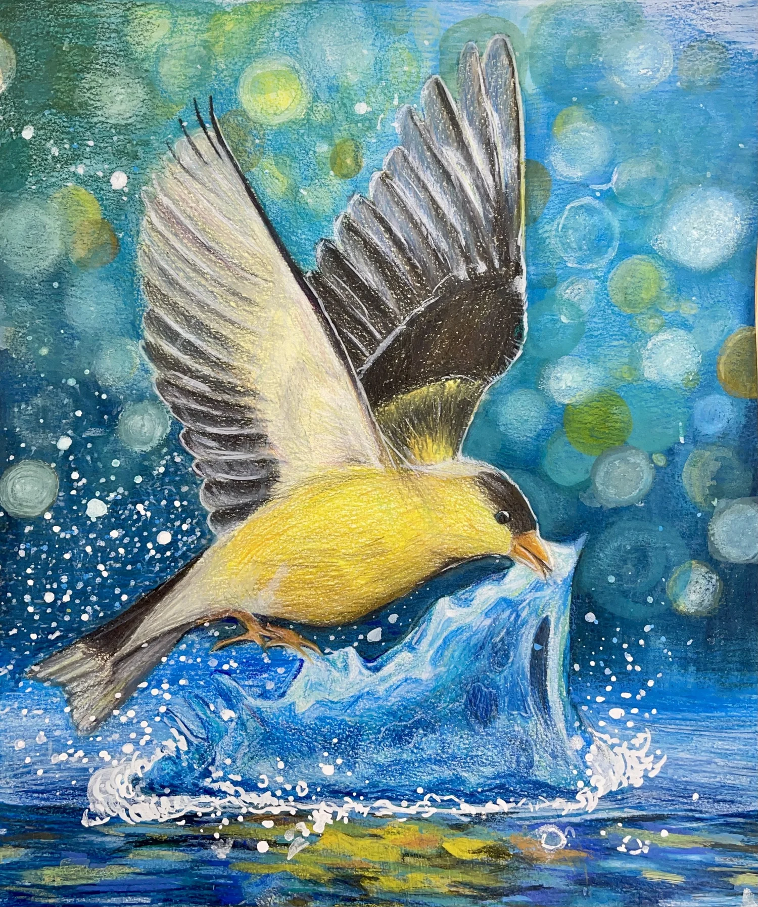 2024 Songbird Art Winners | Celebrate Bird Art - Get Inspired — Art of ...