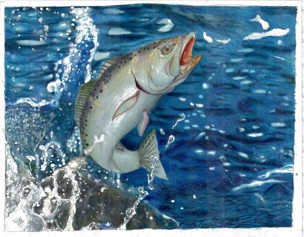 2024 Fish Art Winners | Discover Conservation Art - Join Now — Art of ...