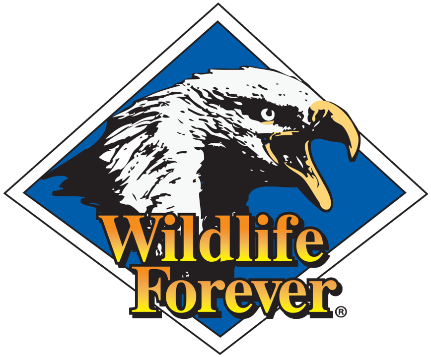 Invasive Species Games & Activities — Art of Conservation