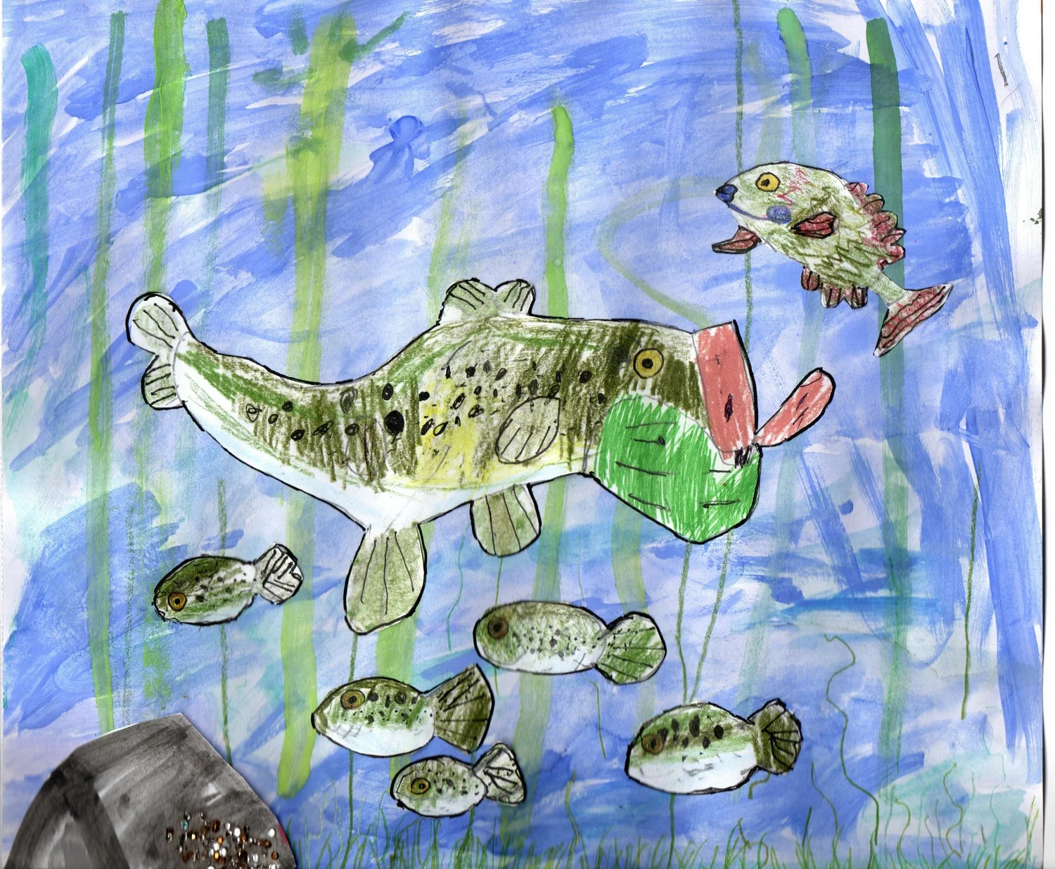 Mighty Minnow Award | Discover Creative Conservation Art — Art of ...