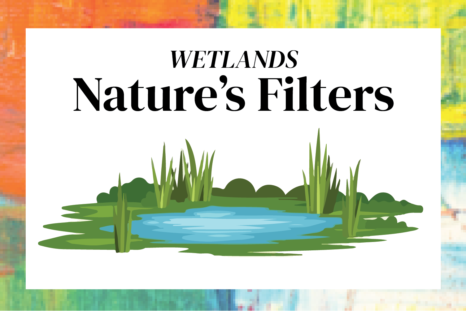 Nature's Filters — Art of Conservation